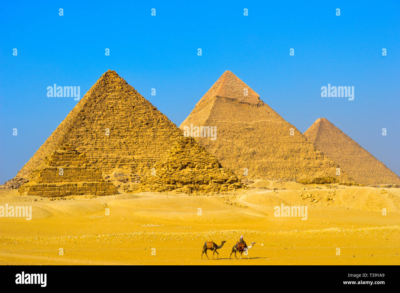 The Great pyramid of Giza in Egypt Cairo with Sphinx and camel. It is ...