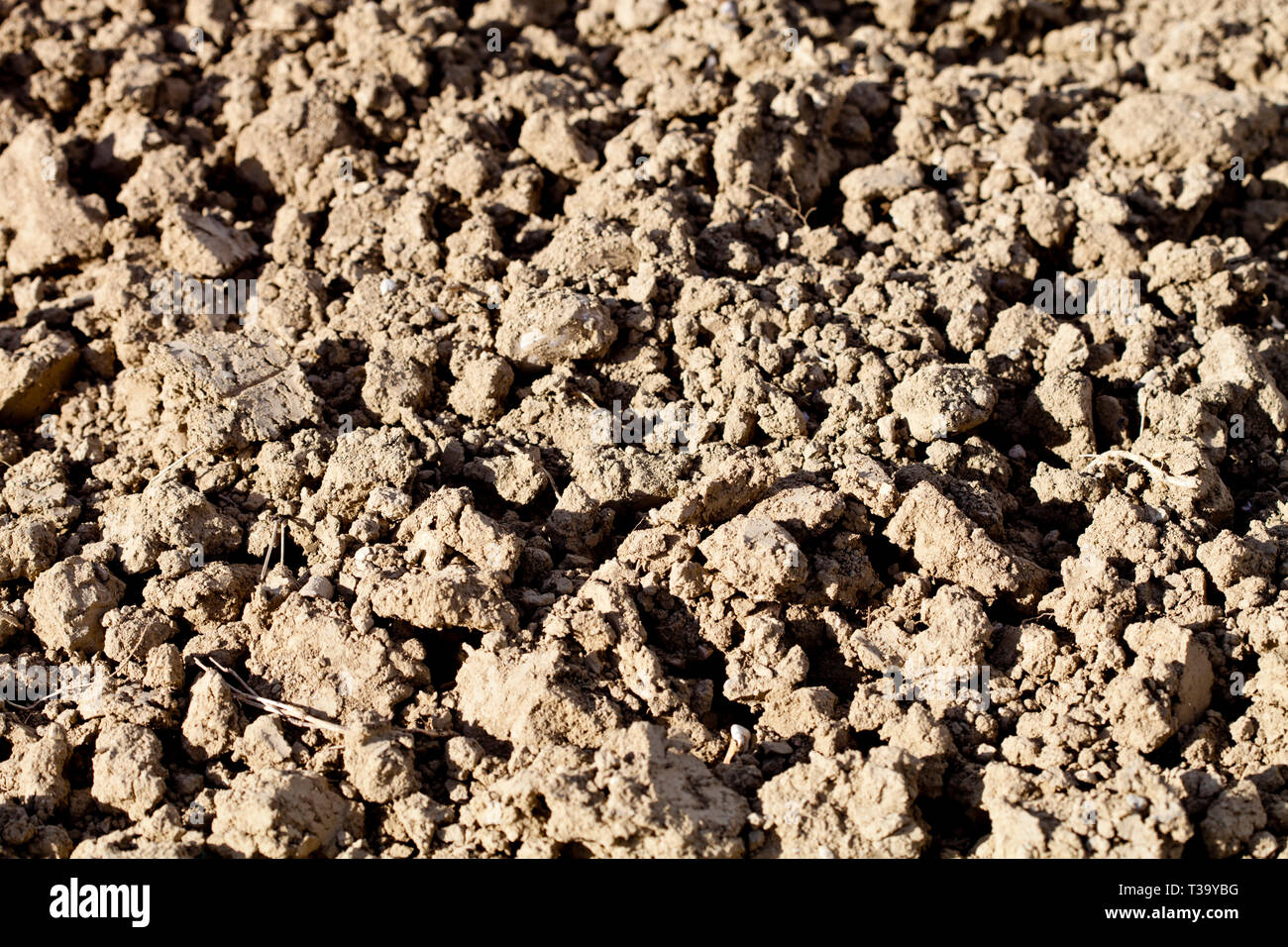 Soil texture background seen from above, top view Stock Photo - Alamy