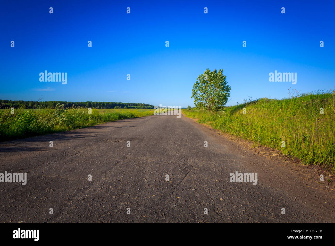 The road to the field. Russian open spaces. asphalt road Stock Photo ...