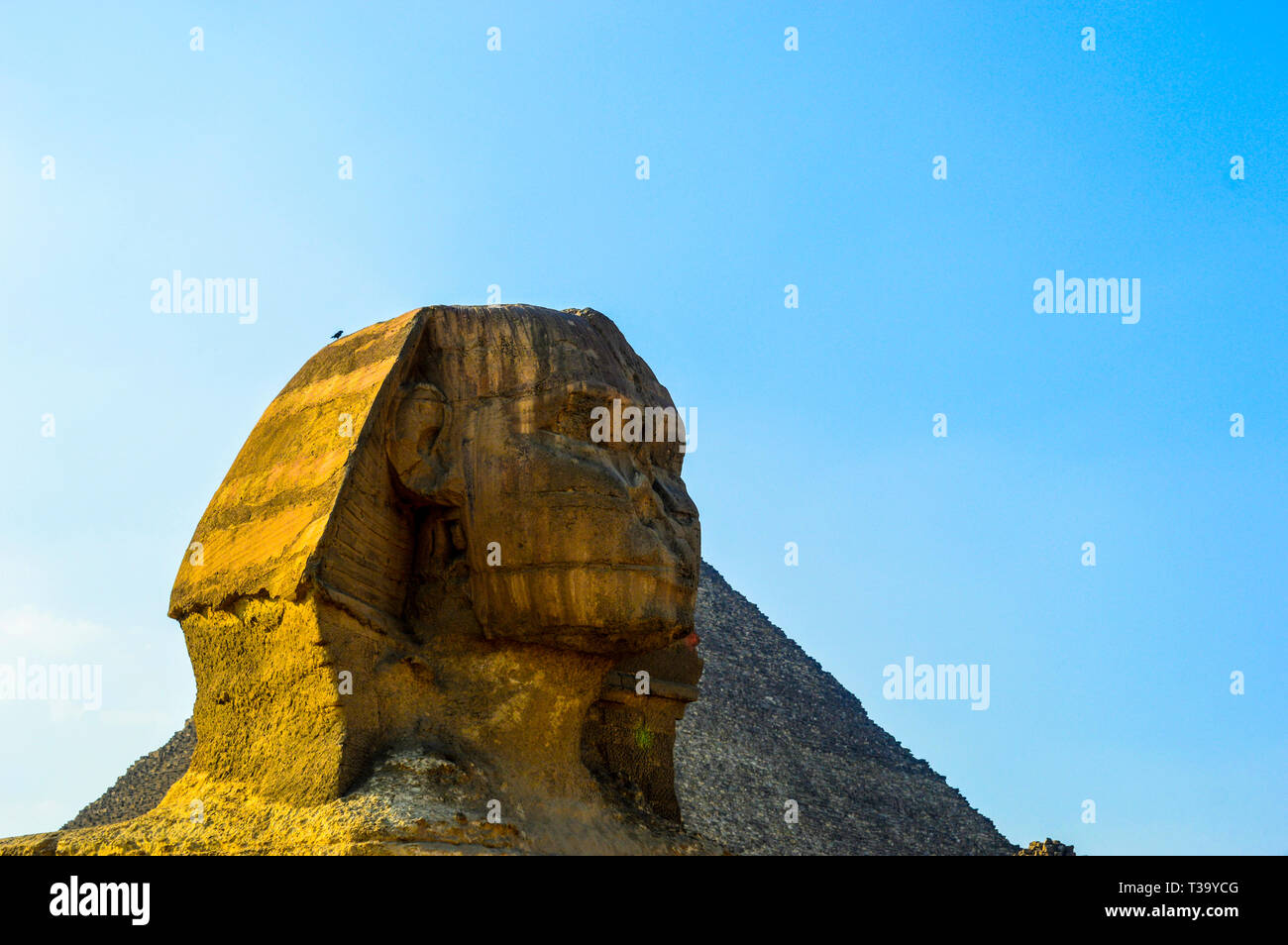 The Great pyramid of Giza in Egypt Cairo with Sphinx and camel. It is ...