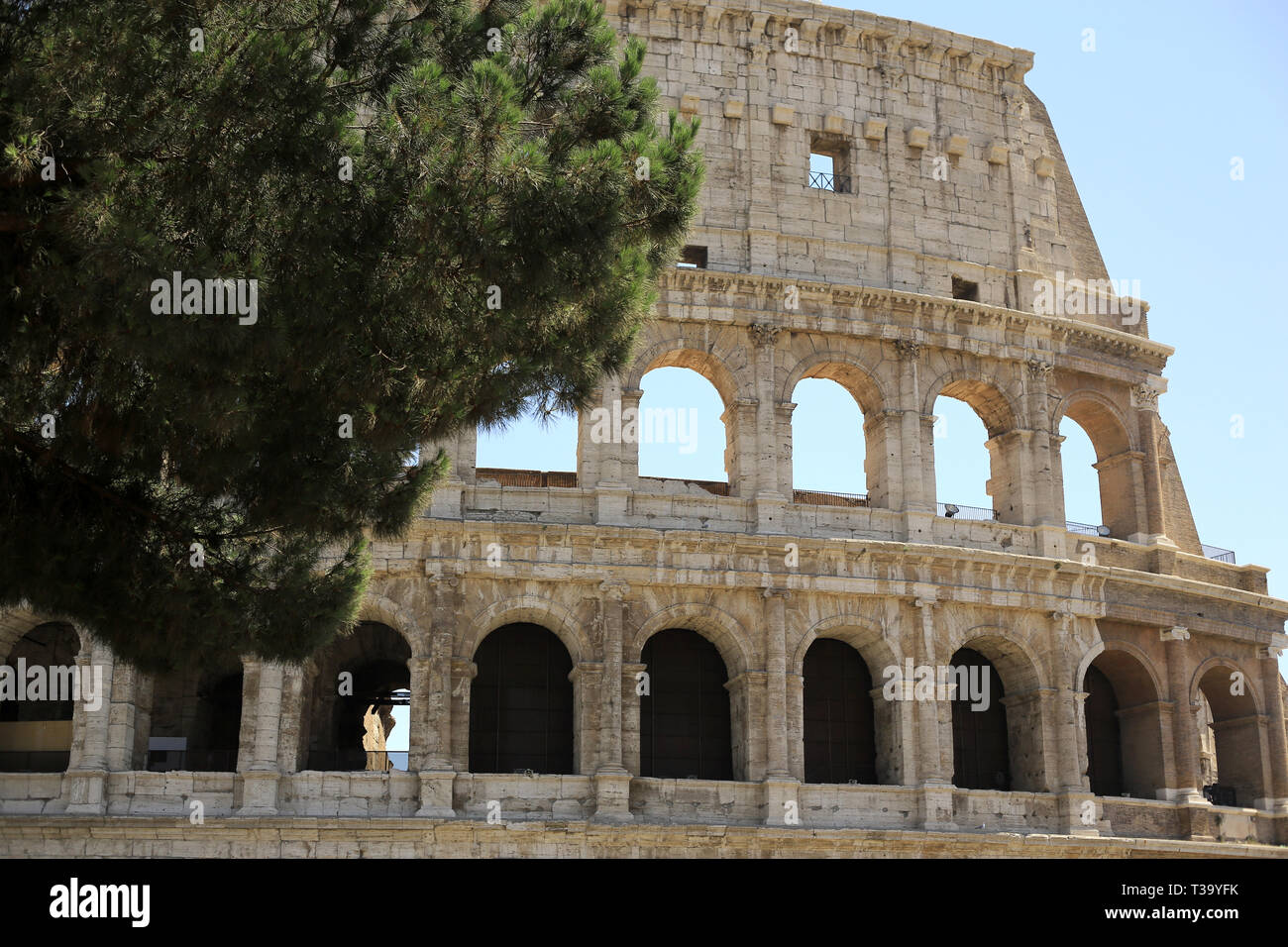 Rome, The Majestic Coliseum. Italy. Colosseum Rome. Ruins of the ...