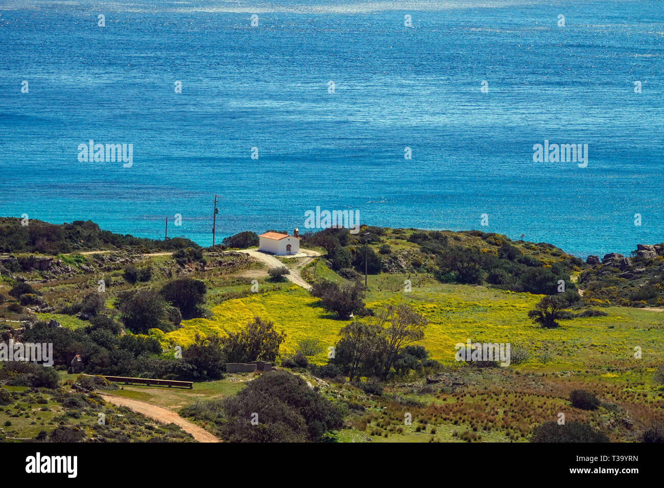 Small white chapel, and yellow African daisy, daisies, Spring ...