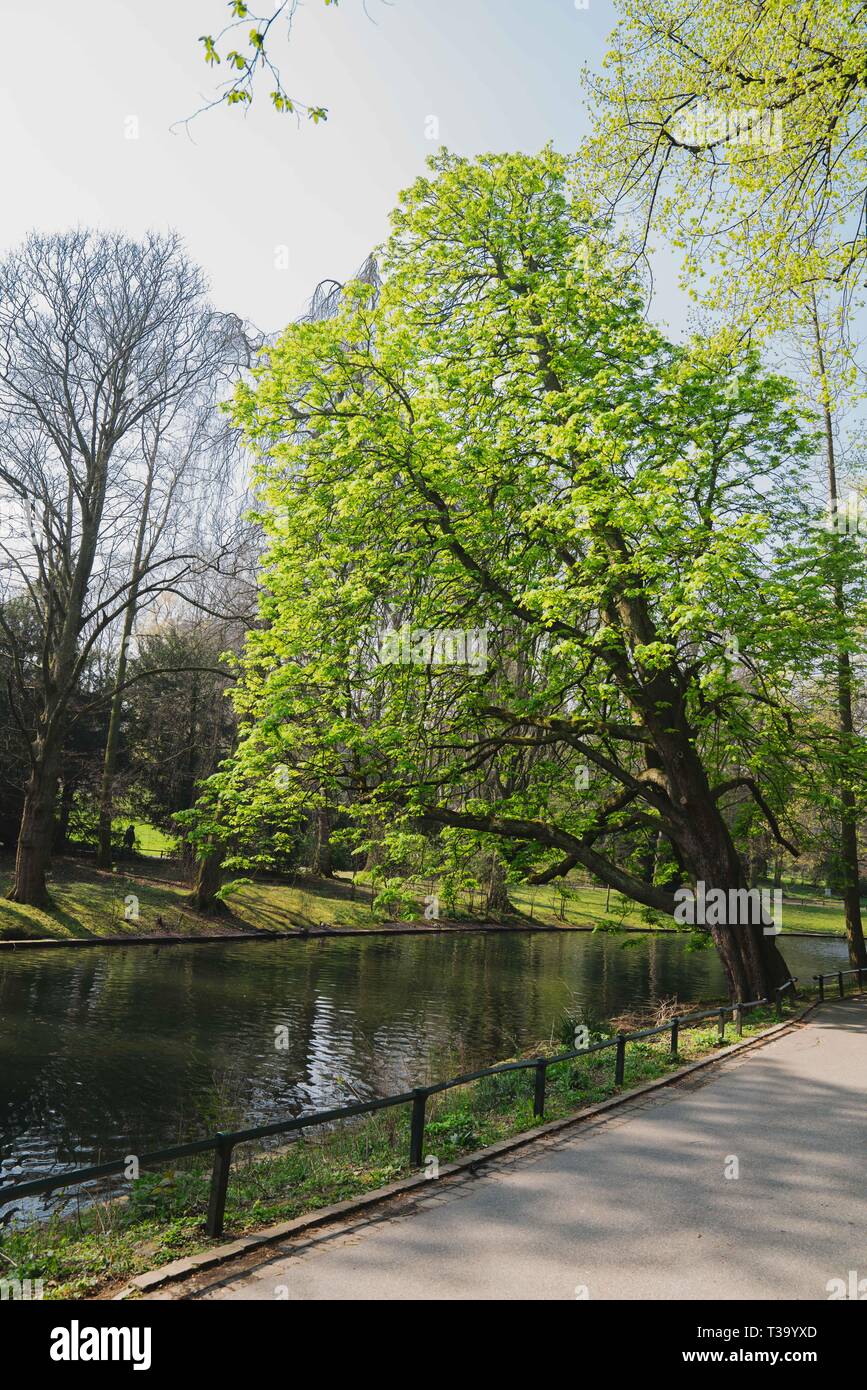 Brussels green parks hi-res stock photography and images - Alamy