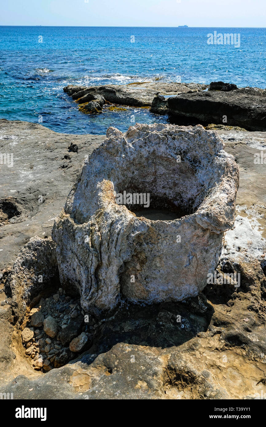 The petrified palm forest of the coastal zone of Agios Nikolaos, near ...