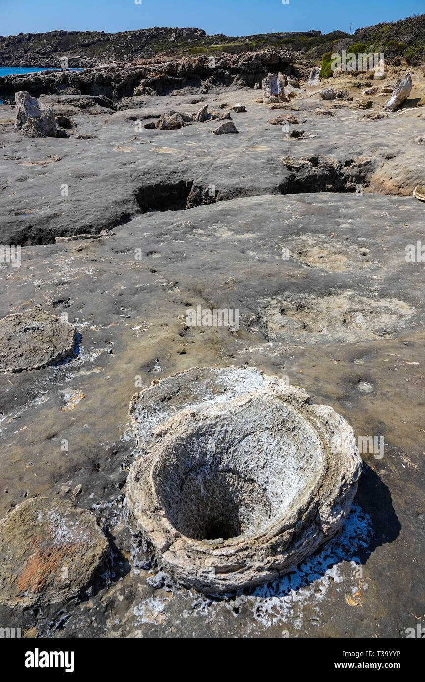 The petrified palm forest of the coastal zone of Agios Nikolaos, near ...