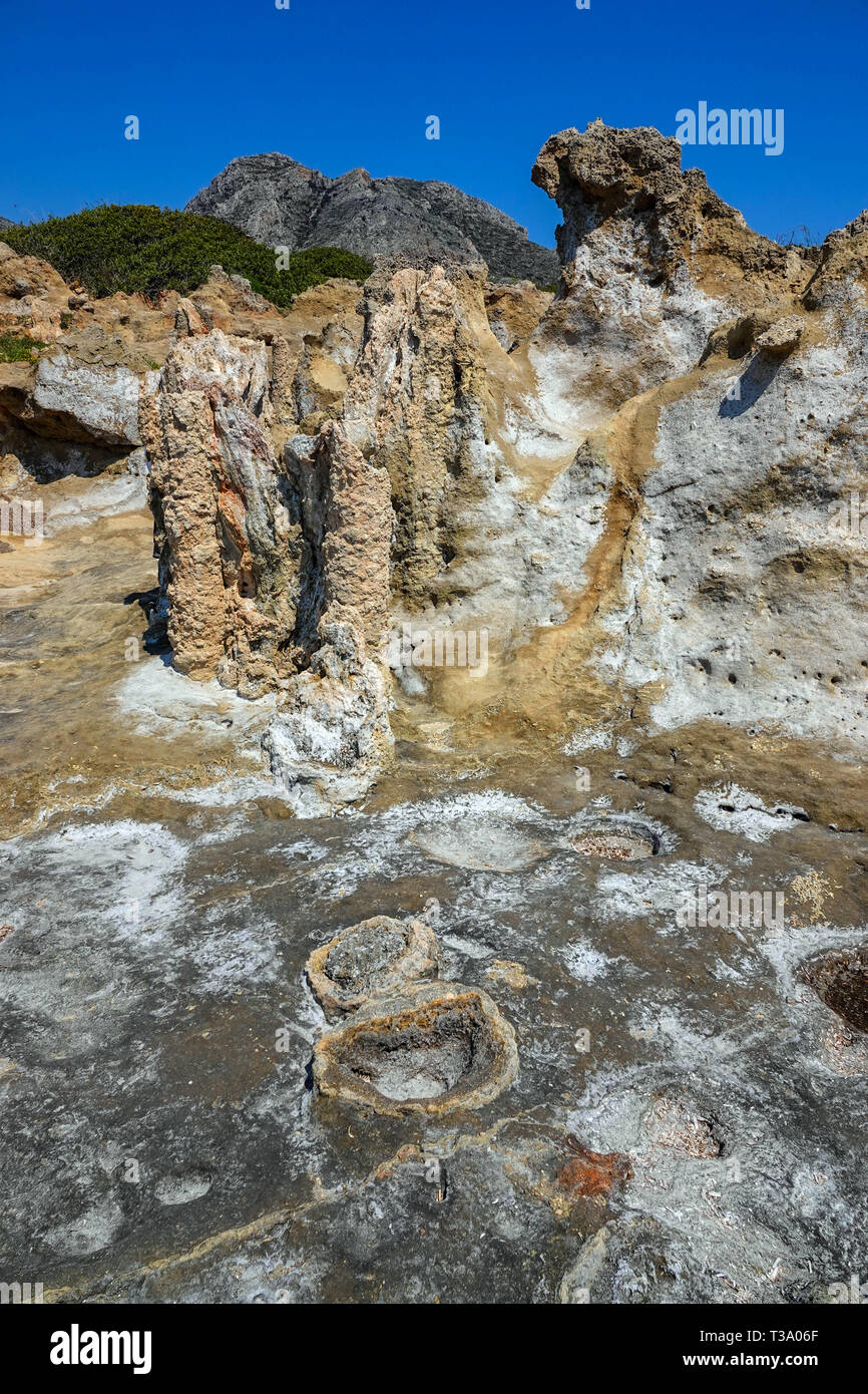 The petrified palm forest of the coastal zone of Agios Nikolaos, near ...