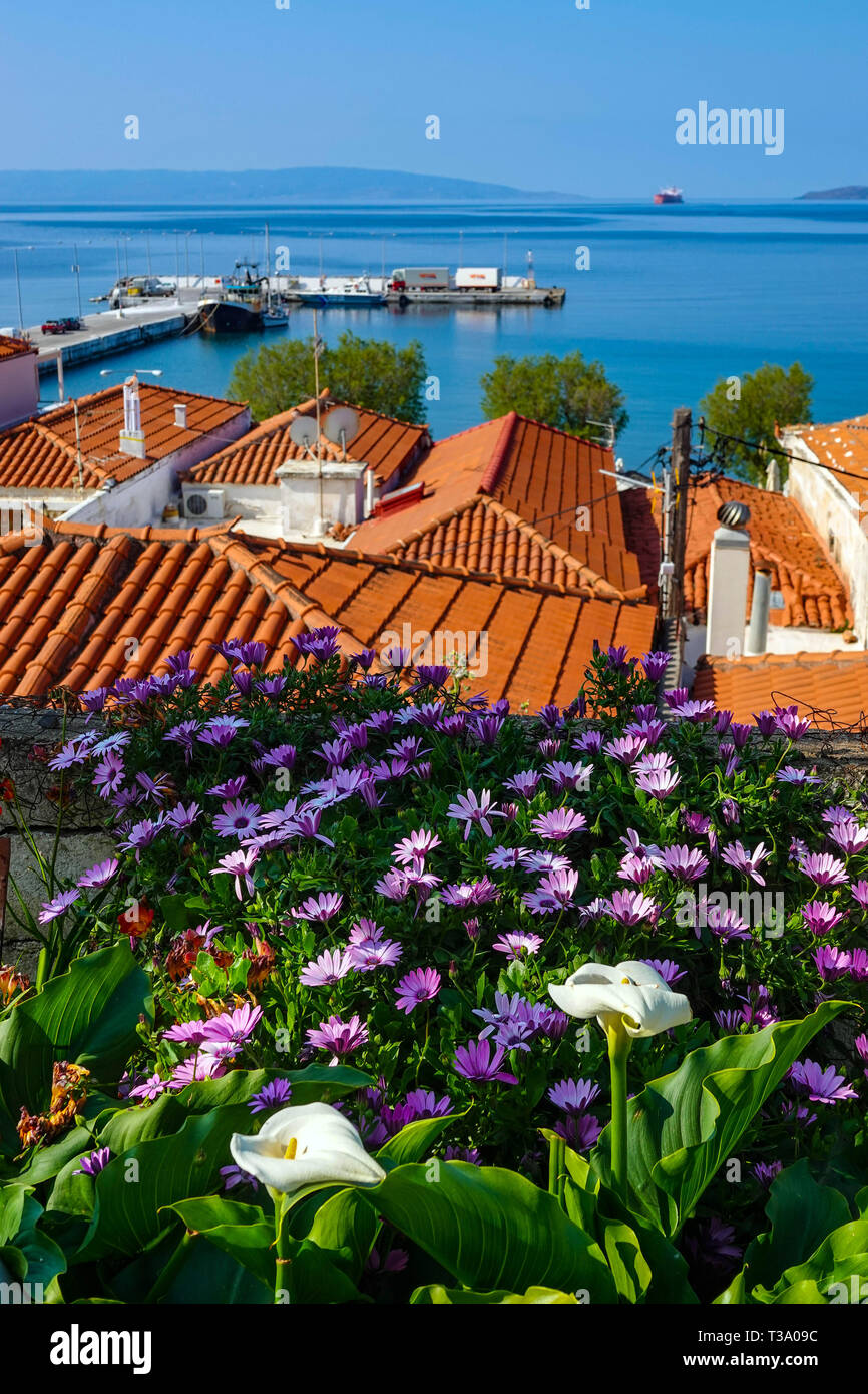 Greek spring village hi-res stock photography and images - Alamy