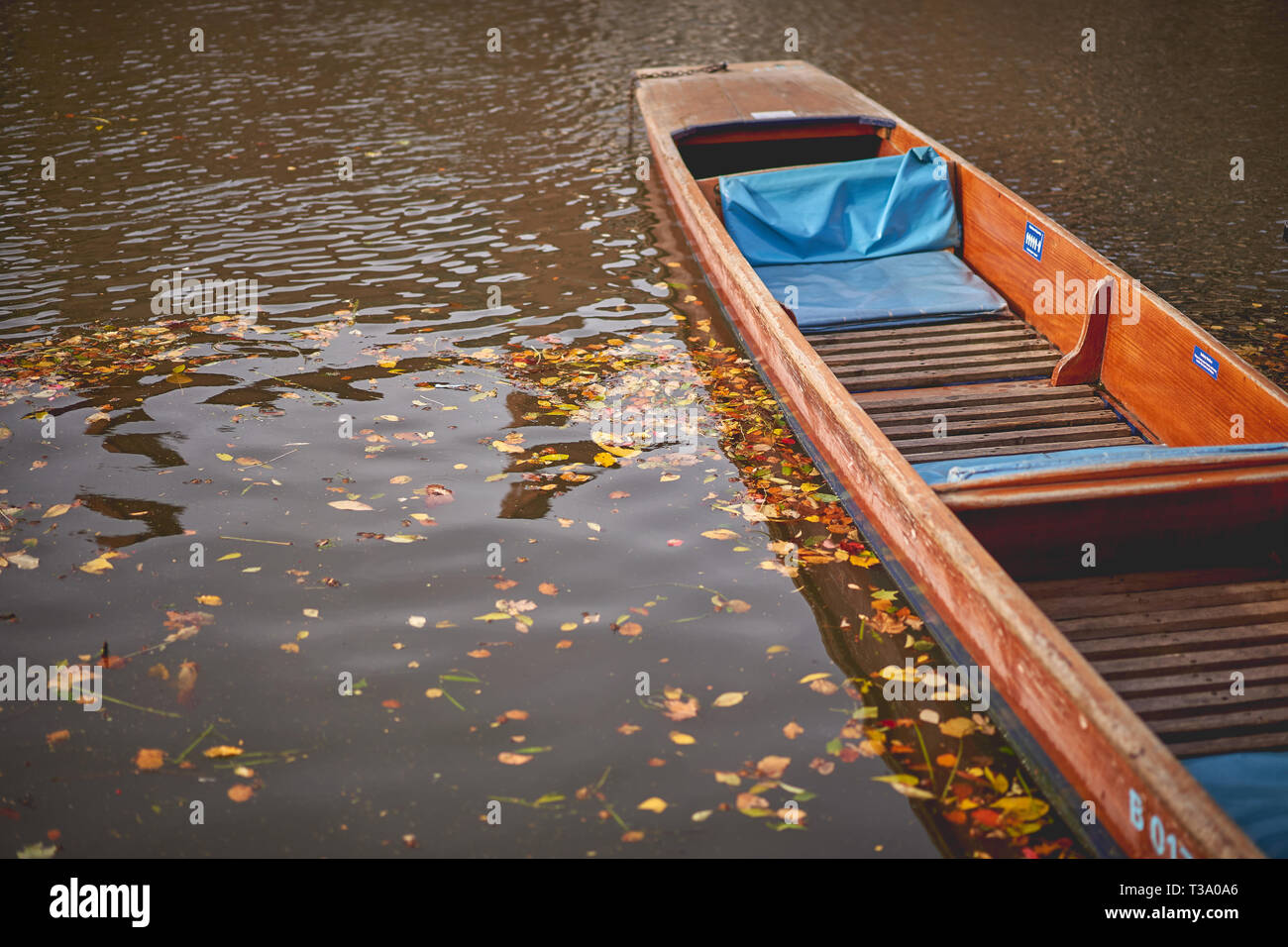 A typical punt boat moored along the river Cam in Cambridge. Autumnal ...