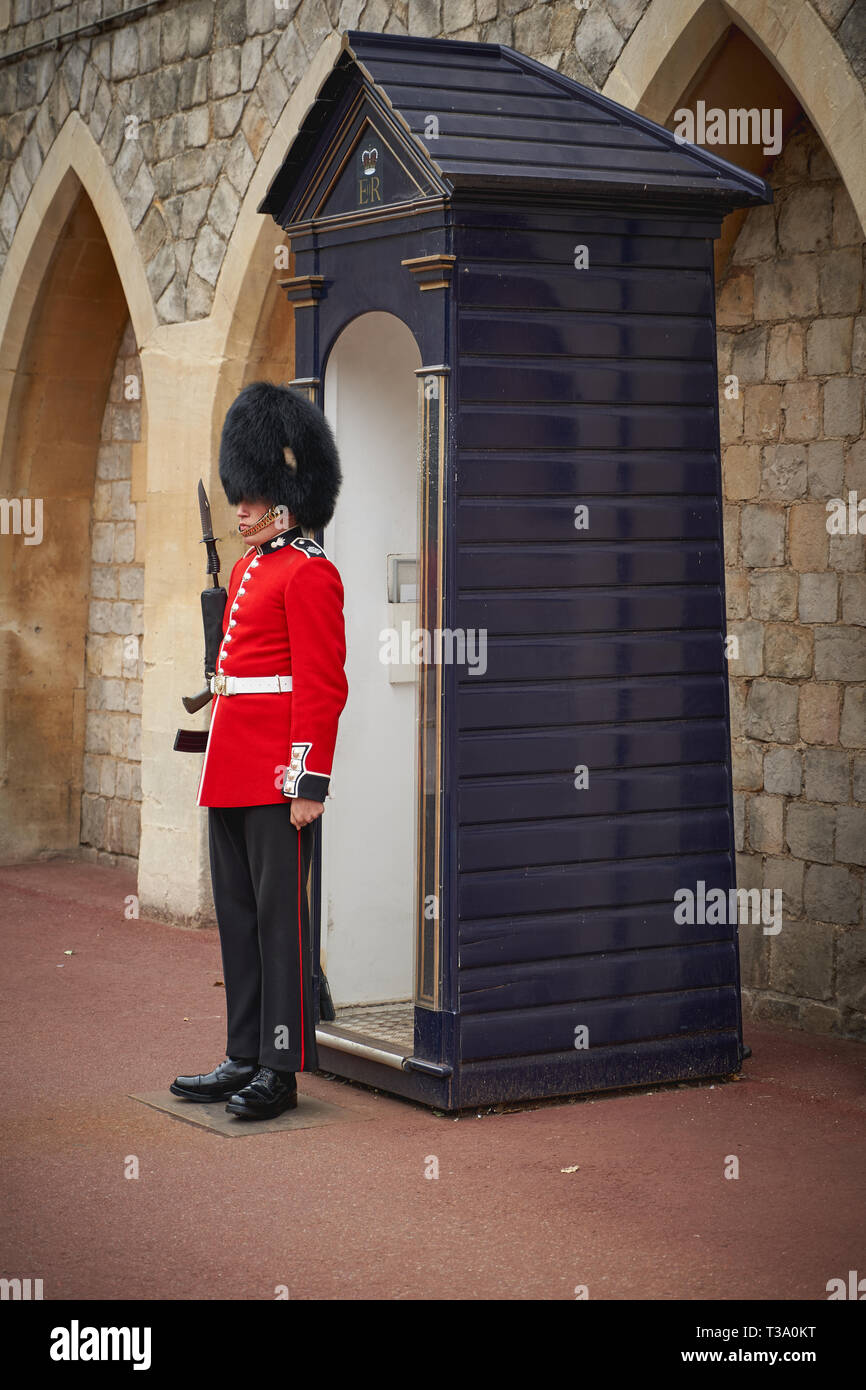 Grenadier uniform hi-res stock photography and images - Alamy