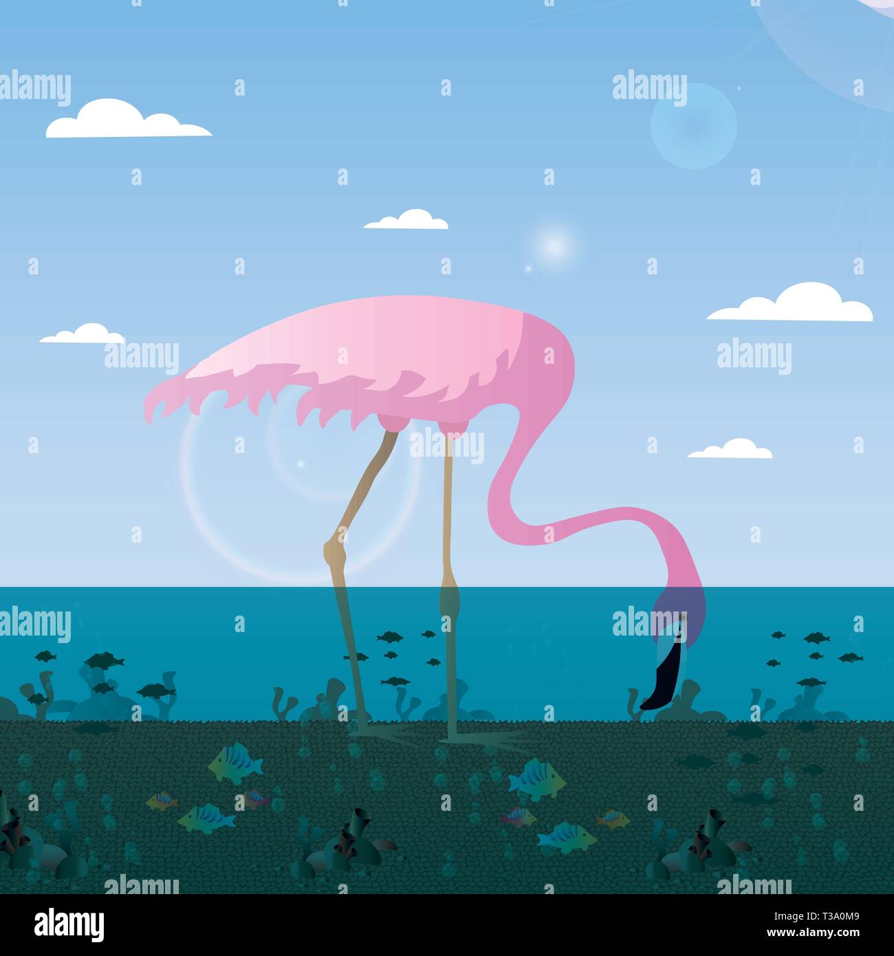 Vector illustration with flamingo birds on a lake,surrounded by fish 10 ...