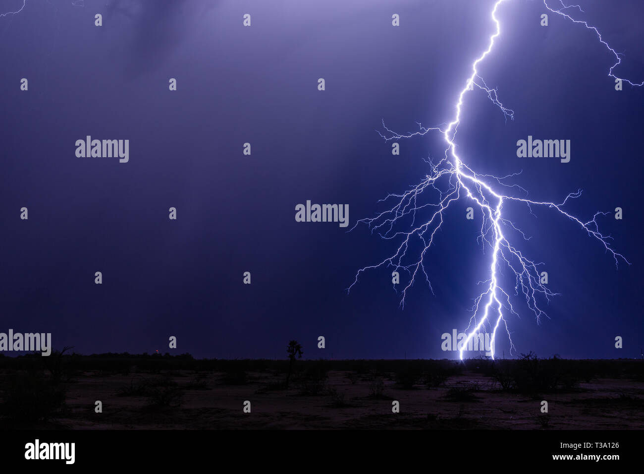 Monsoon lightning storm in the night sky over Tucson, Arizona Stock ...