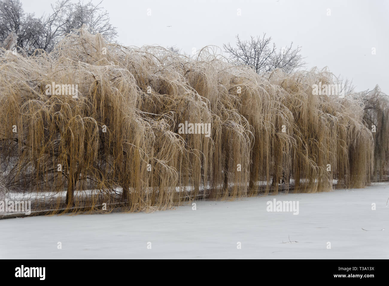 Iarna hi-res stock photography and images - Alamy