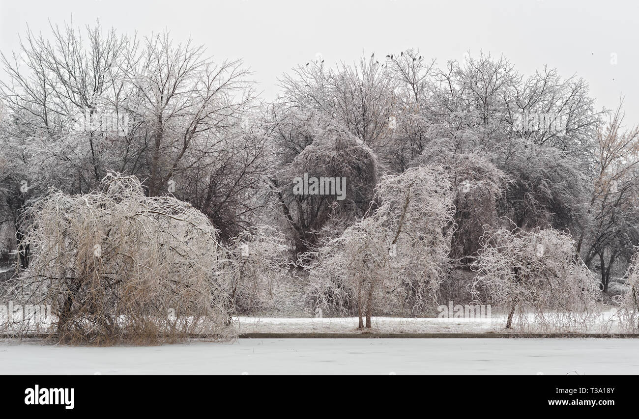 Ramuri hi-res stock photography and images - Alamy