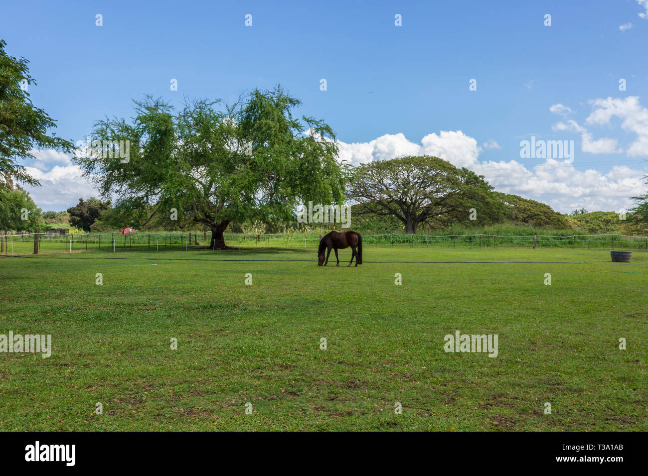Beautiful horse ranches hi-res stock photography and images - Alamy