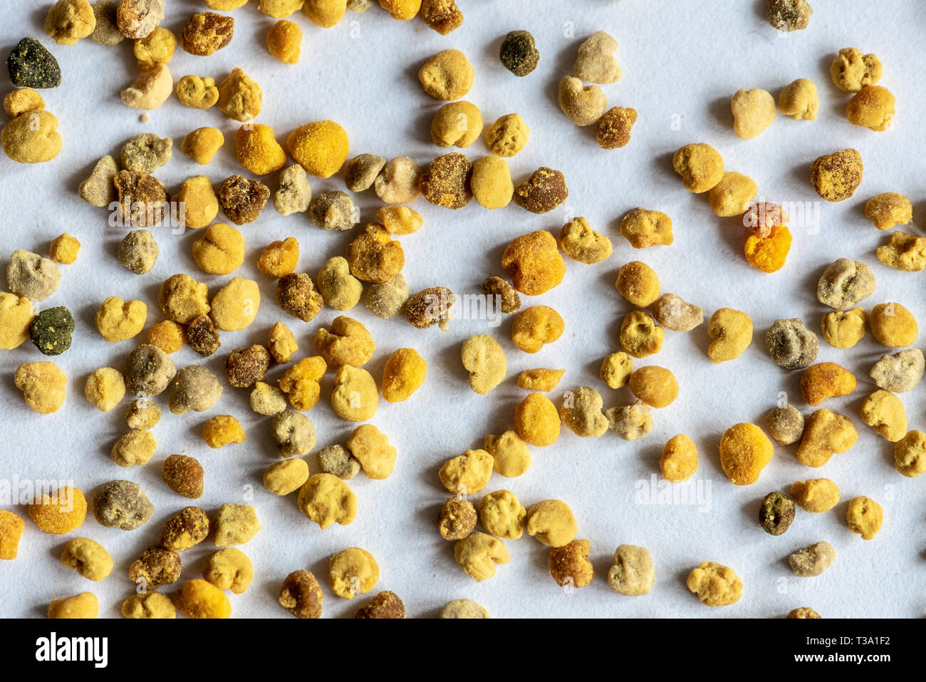 Pollen Granules High Resolution Stock Photography and Images - Alamy