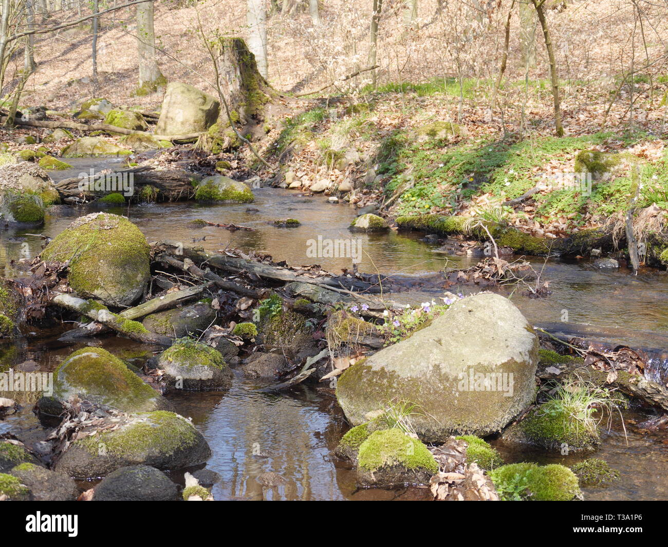 Streaming stream brook river hi-res stock photography and images - Alamy