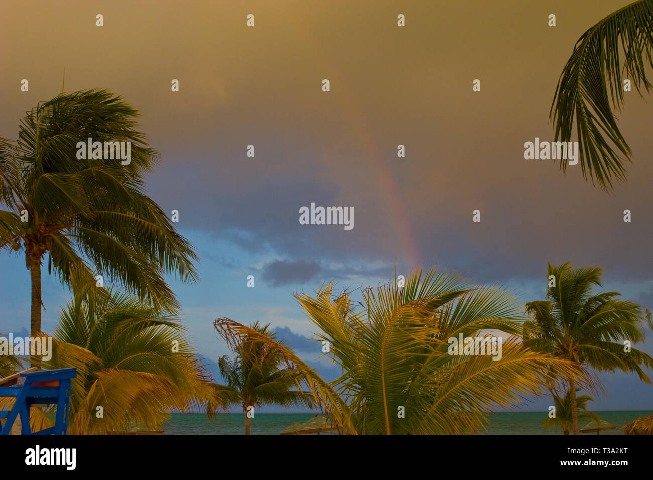 Bahamas Rainbow from the shoreline Stock Photo - Alamy