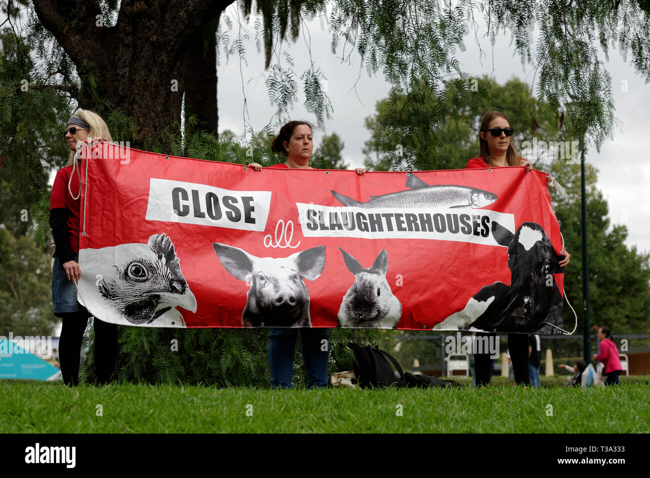 Animal rights activists hi-res stock photography and images - Alamy