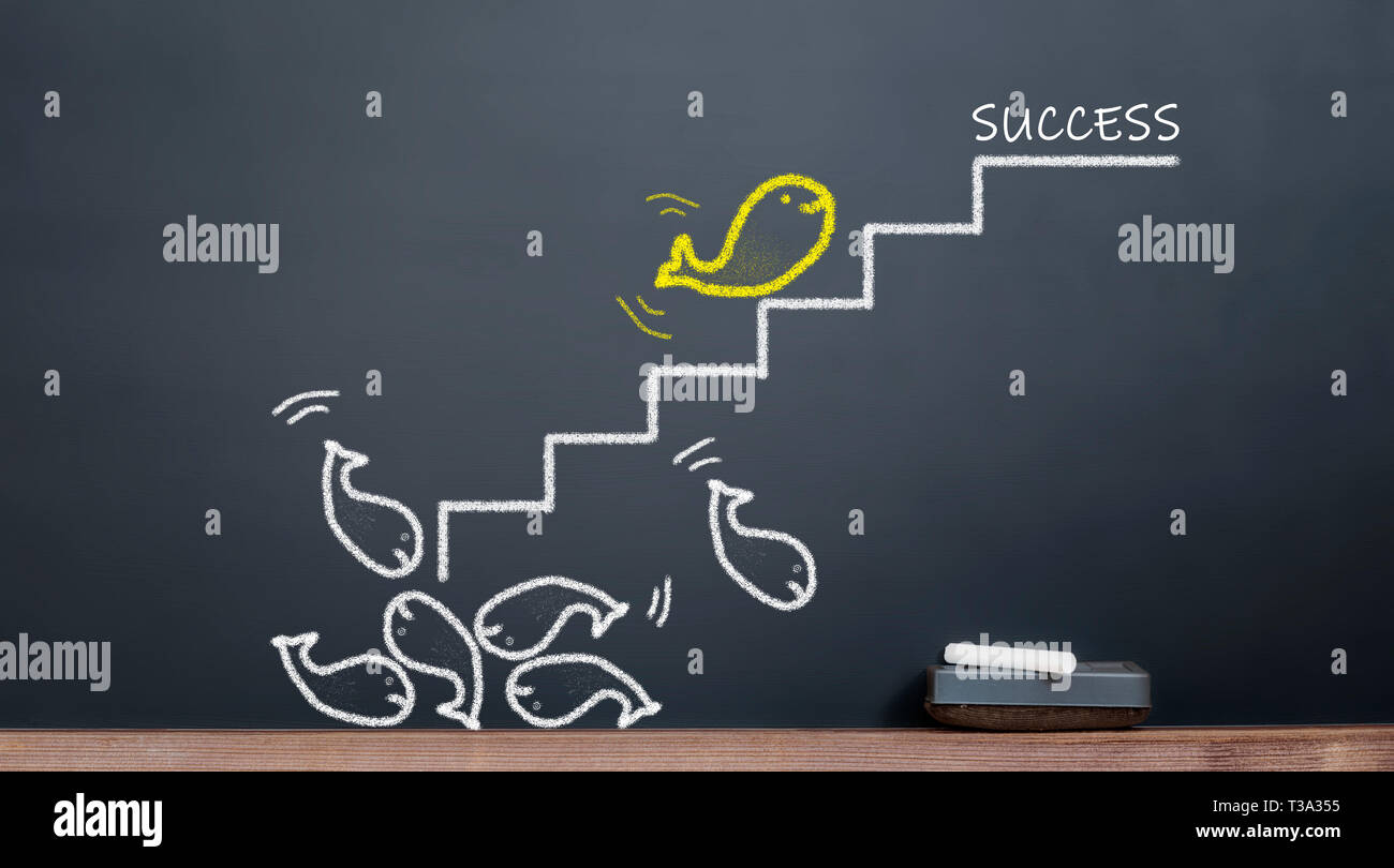fish climb career ladder to success Stock Photo - Alamy