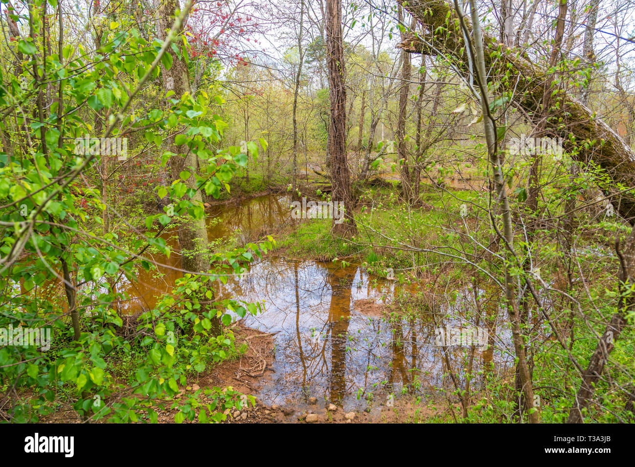 After spring rains hi-res stock photography and images - Alamy