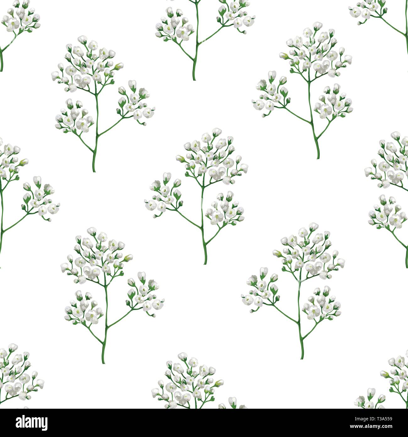 Gypsophila in garden Stock Vector Images - Alamy