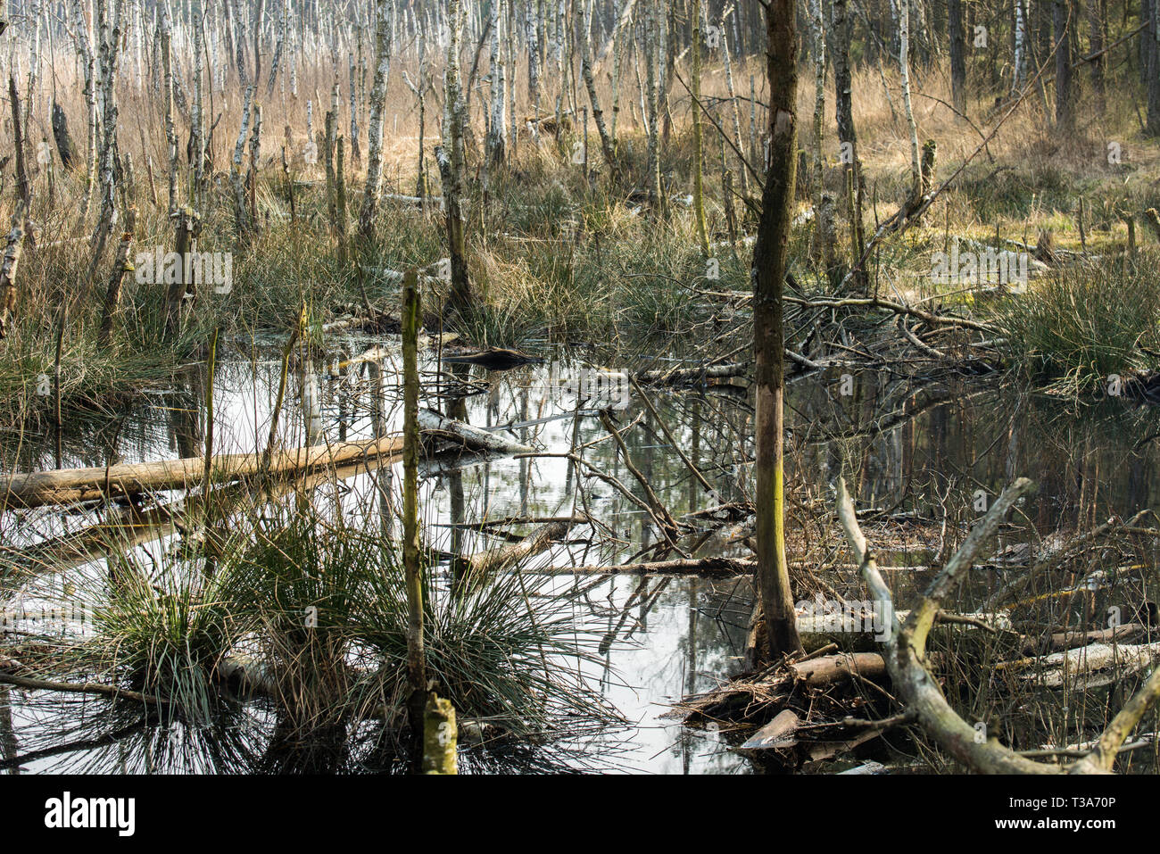 Outdoor wet scenery scenery scenery hi-res stock photography and images ...