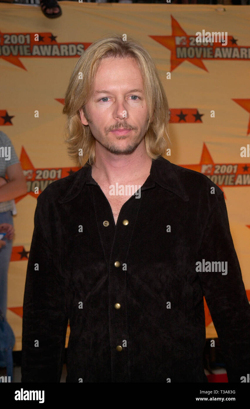David Spade Movies