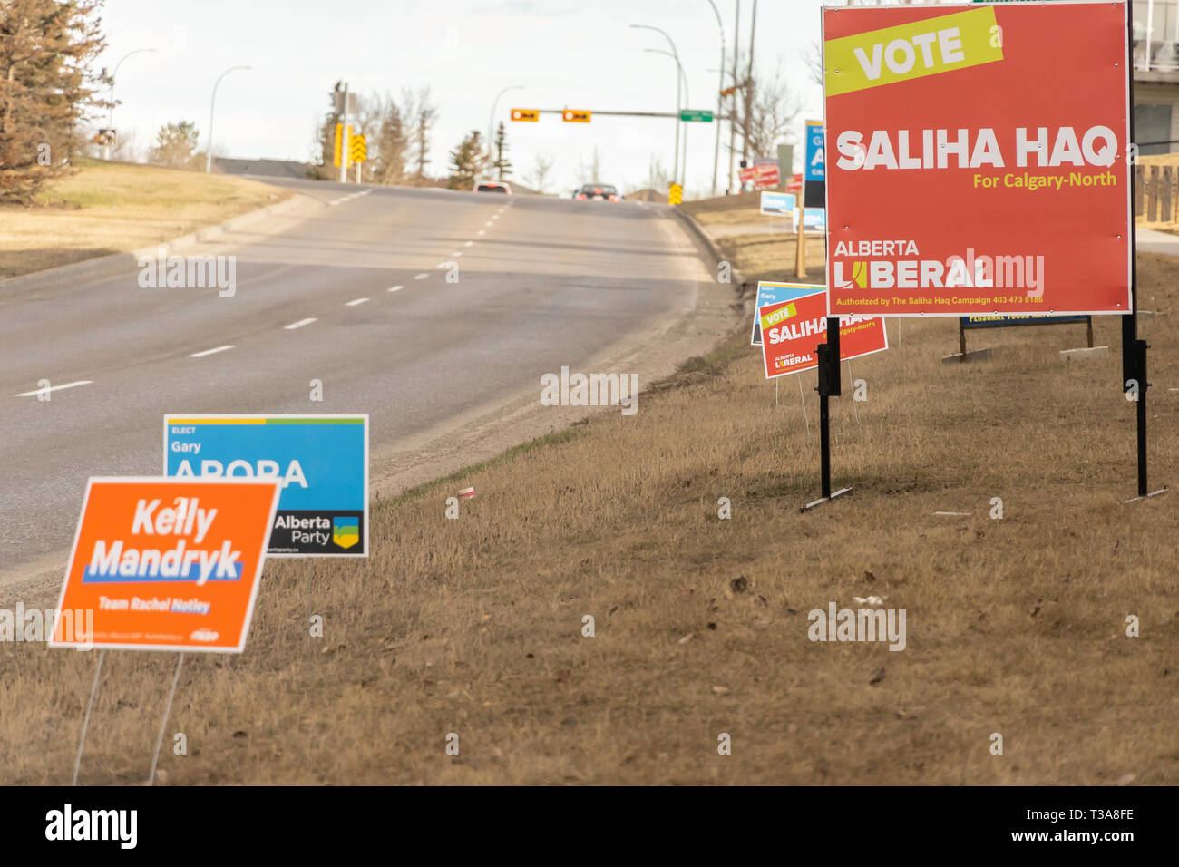 April 7 2019 - Calgary., Alberta , Canada - Candidate campaign signs on ...