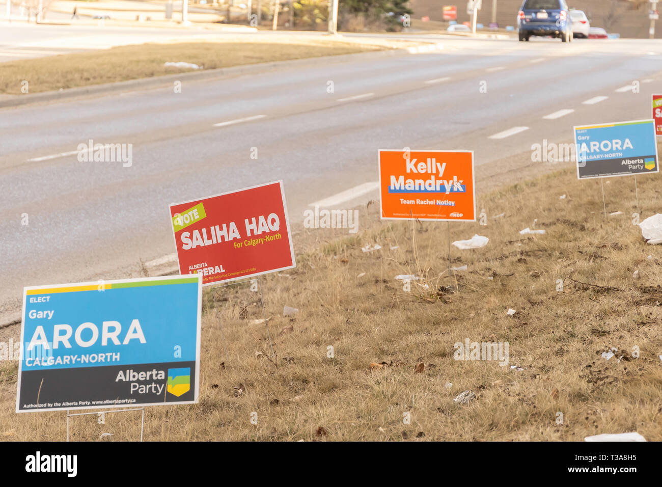 April 7 2019 - Calgary., Alberta , Canada - Candidate campaign signs on ...