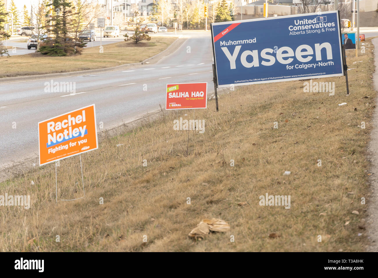 April 7 2019 - Calgary., Alberta , Canada - Candidate campaign signs on ...