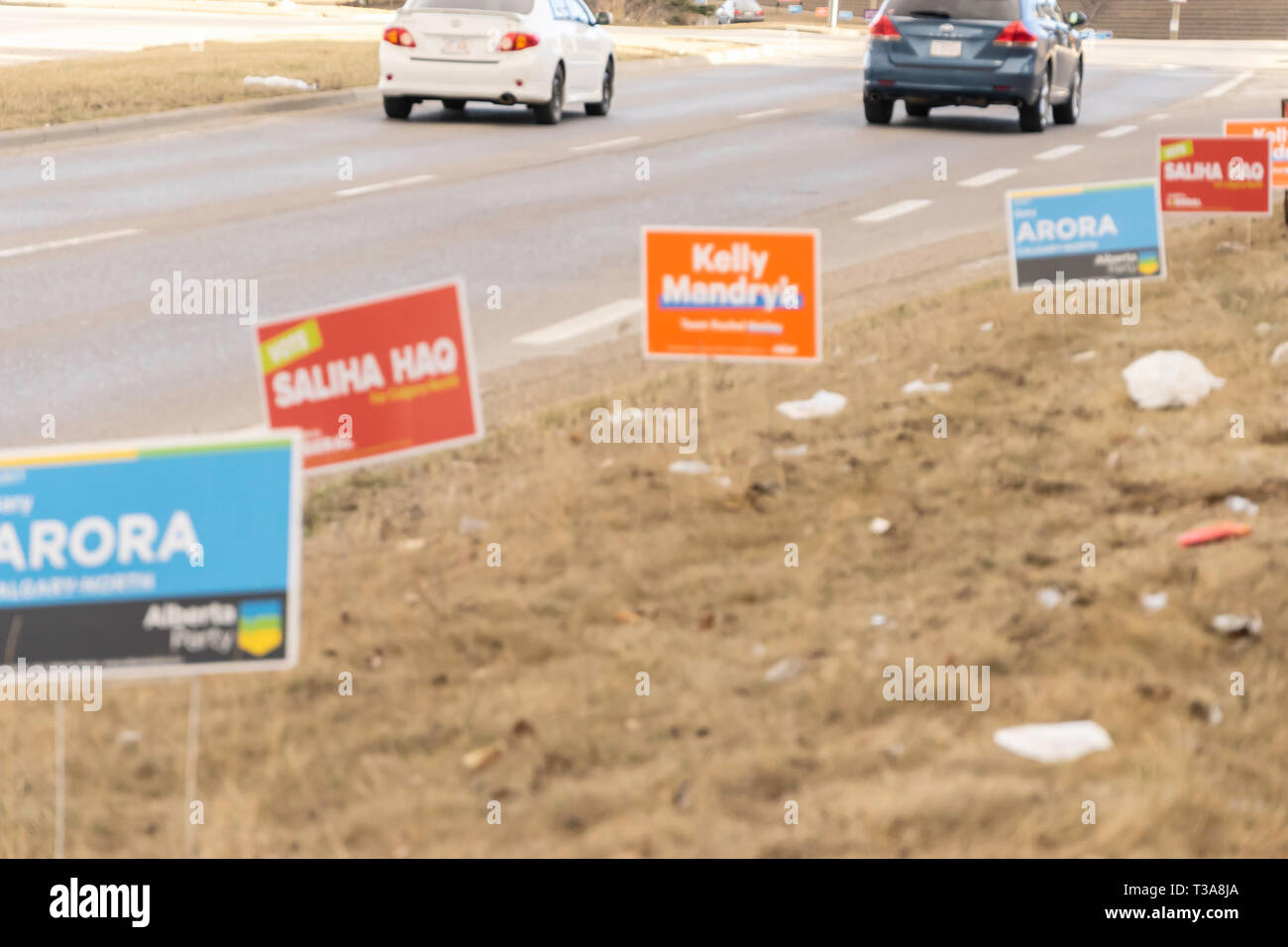 April 7 2019 - Calgary., Alberta , Canada - Candidate campaign signs on ...