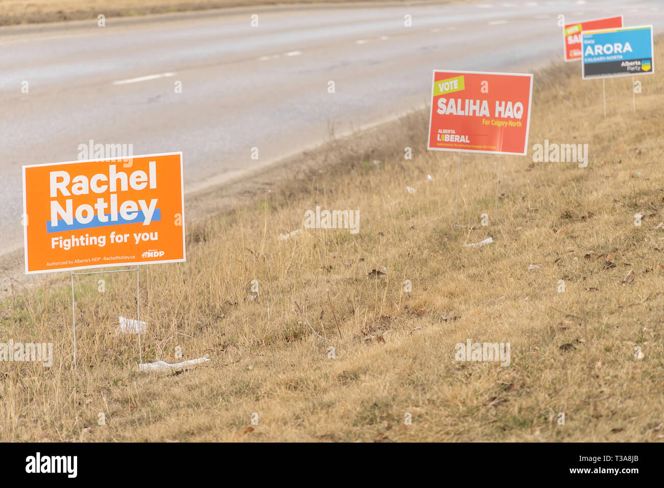 April 7 2019 - Calgary., Alberta , Canada - Candidate campaign signs on ...
