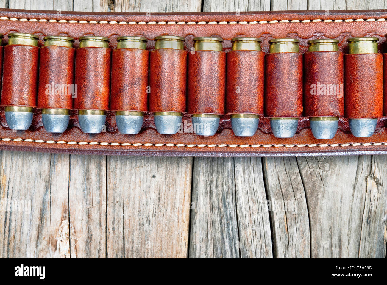 Western cowboy 45 bullets with room for your type ,will work great ...