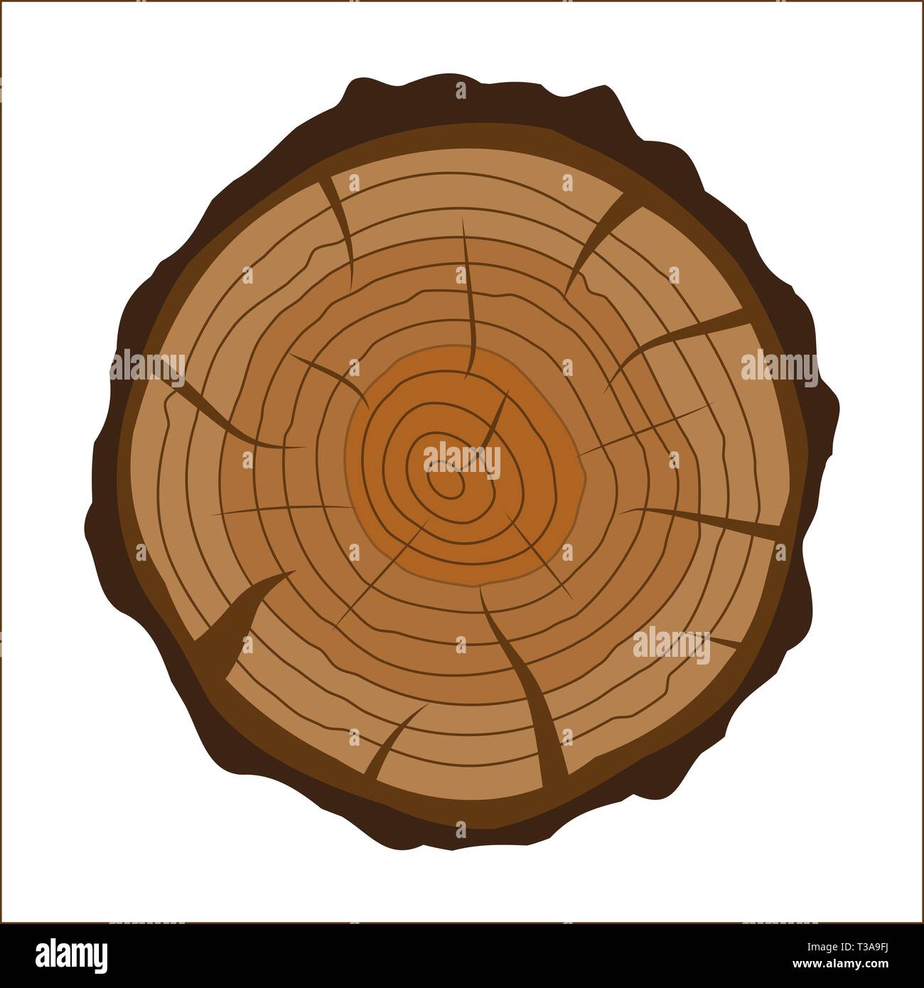 Cross section of tree stump or trunk. Wood cut. Vector illustration in ...