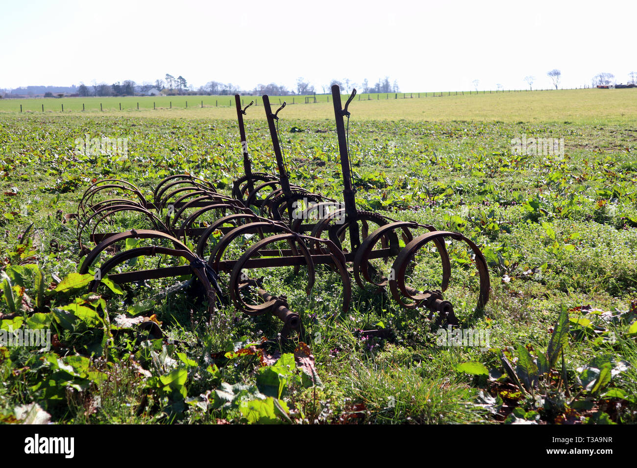 Vintage antique farm tools hi-res stock photography and images - Alamy