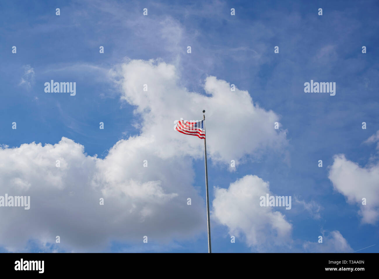 American flag in garden hi-res stock photography and images - Alamy