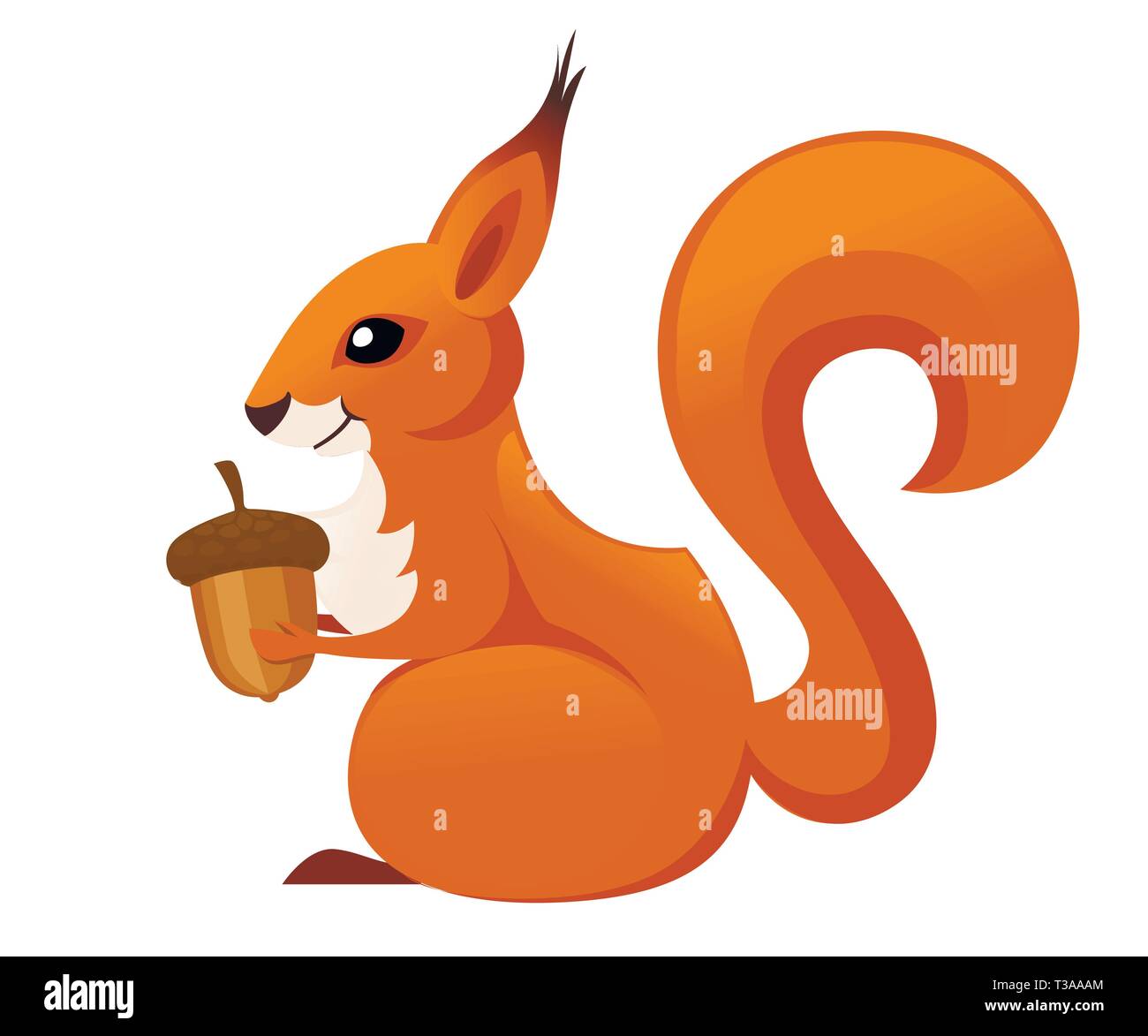 Cute little squirrel sit on floor and holds a acorn. Side view. Cartoon ...
