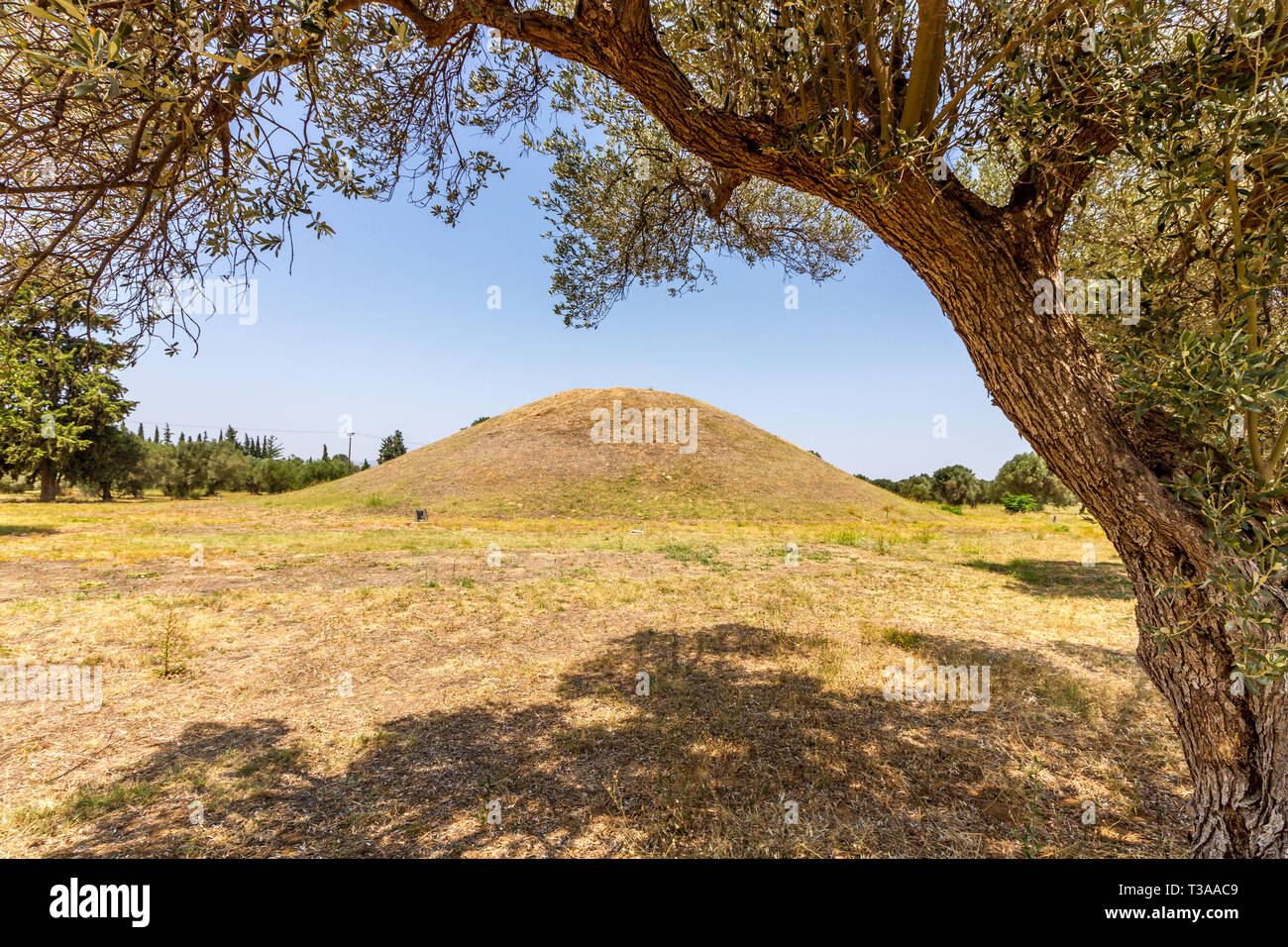 Marathon tumuli or tumulus, the tomb that ancient Athenians built to ...