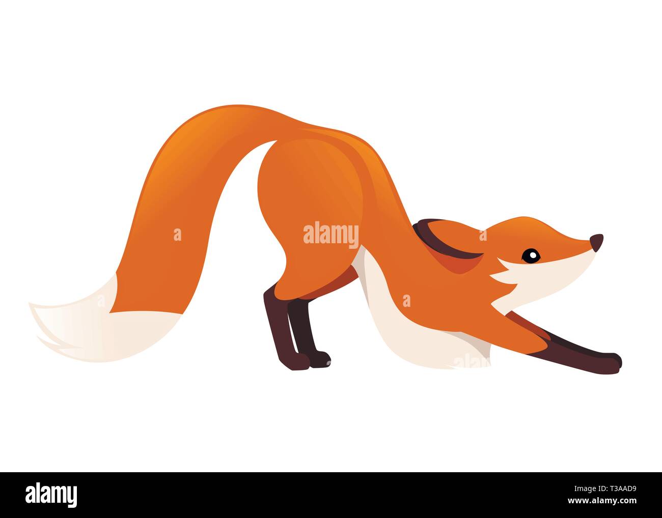 Cute red fox is stretching on four legs. Cartoon animal character ...