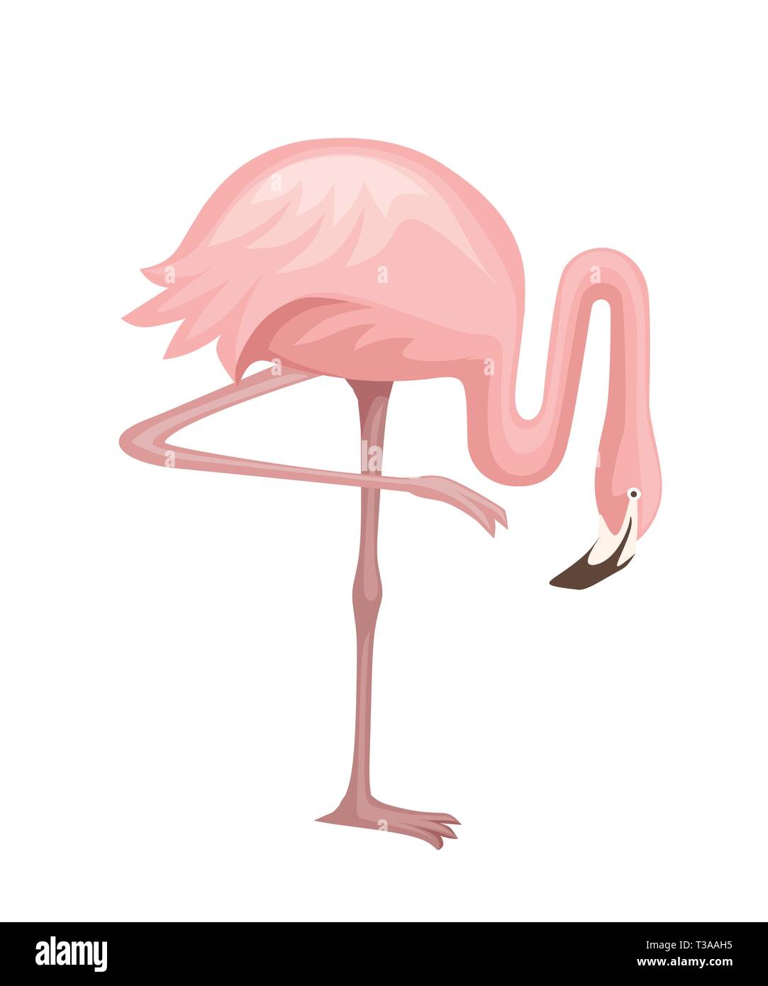 Cute animal, peach pink flamingo. Cartoon animal character design. Flat ...