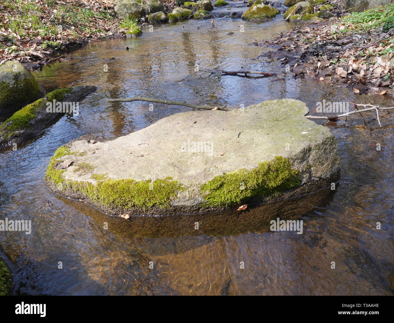 Course of a small stream Stock Photo - Alamy
