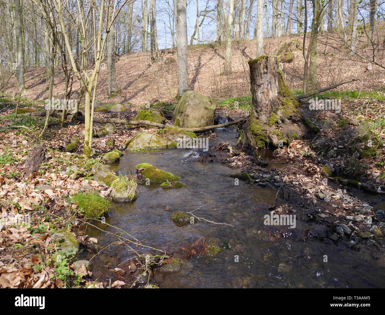 Course of a small stream Stock Photo - Alamy