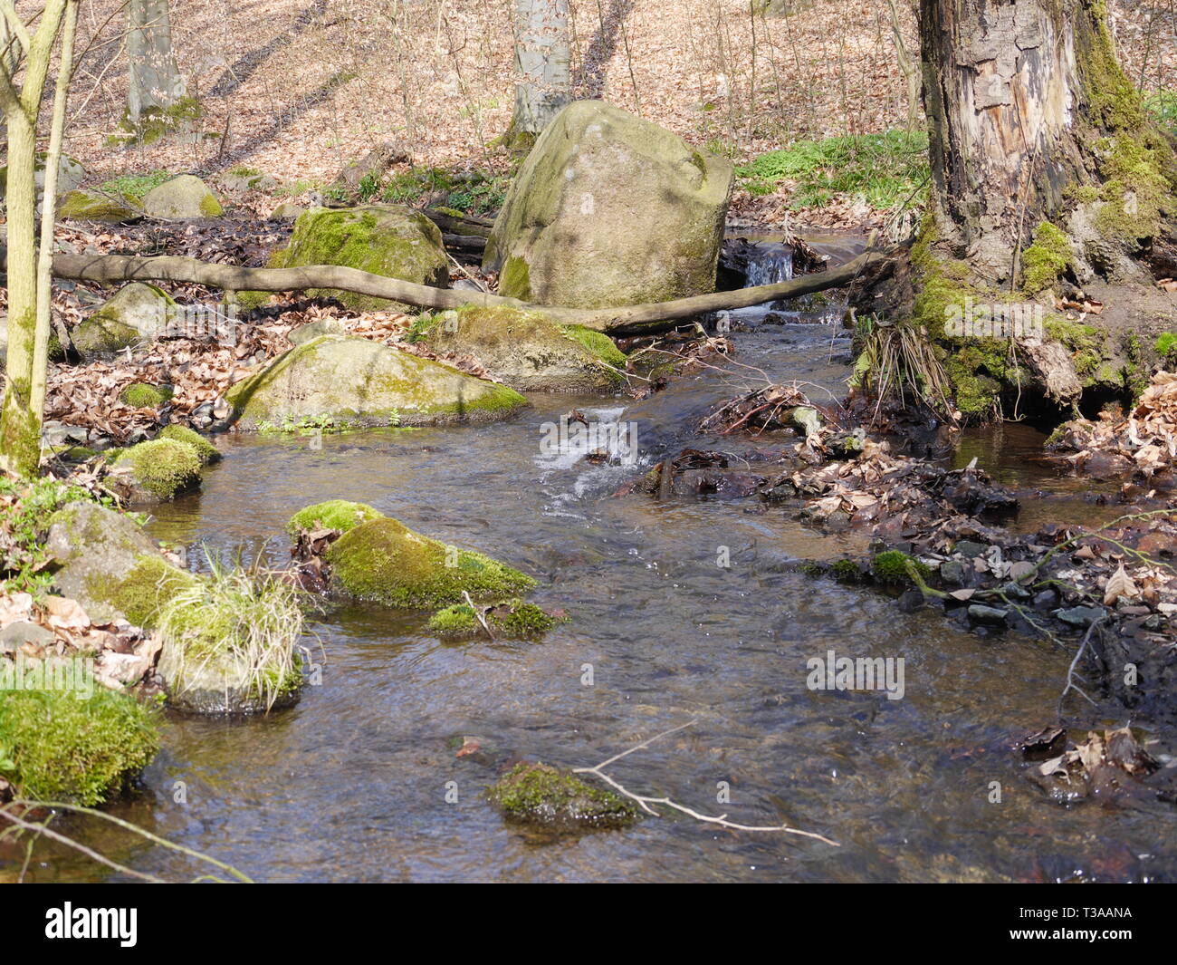 Course of a small stream Stock Photo - Alamy