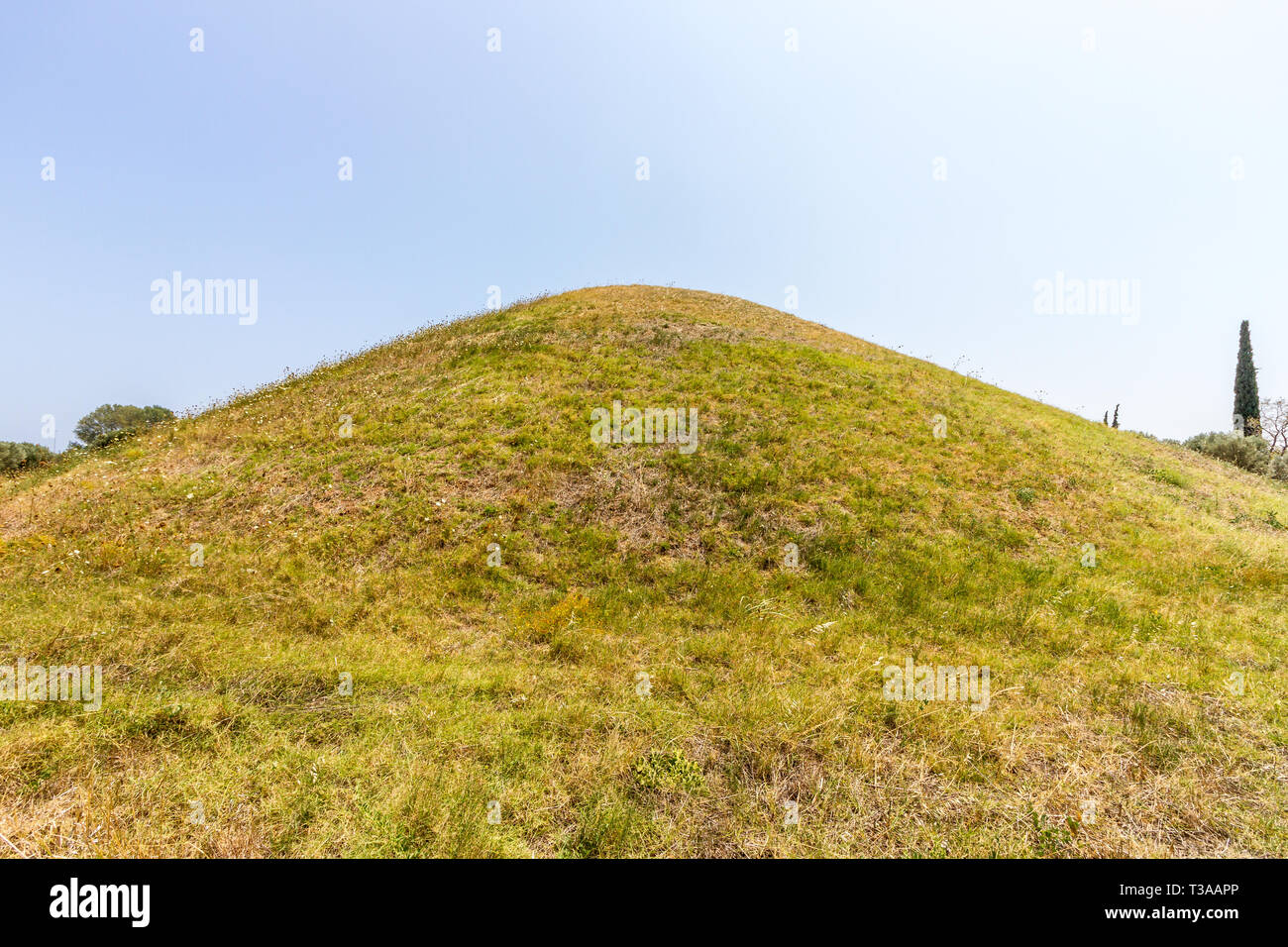 Athenian expedition hi-res stock photography and images - Alamy