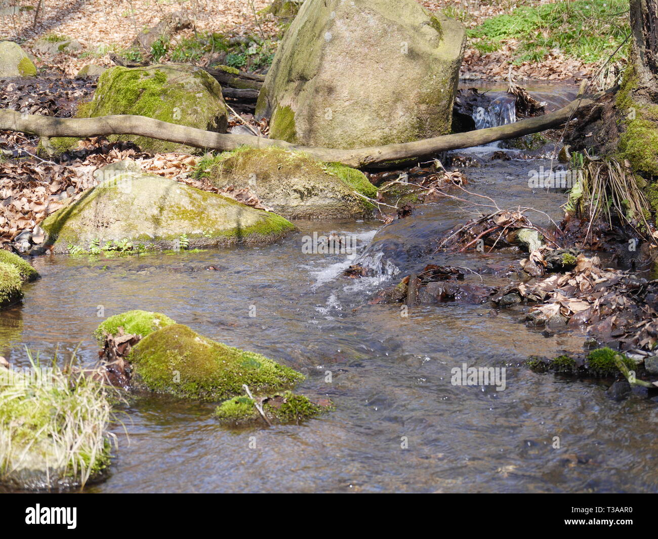 Course of a small stream Stock Photo - Alamy