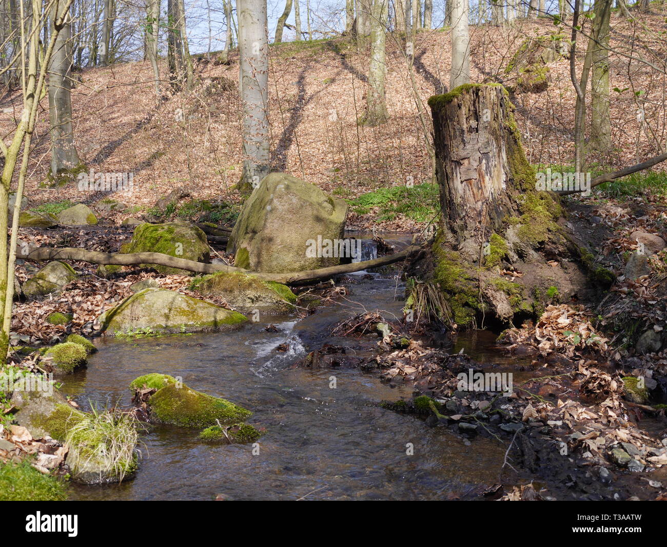 Stream streaming river hi-res stock photography and images - Alamy