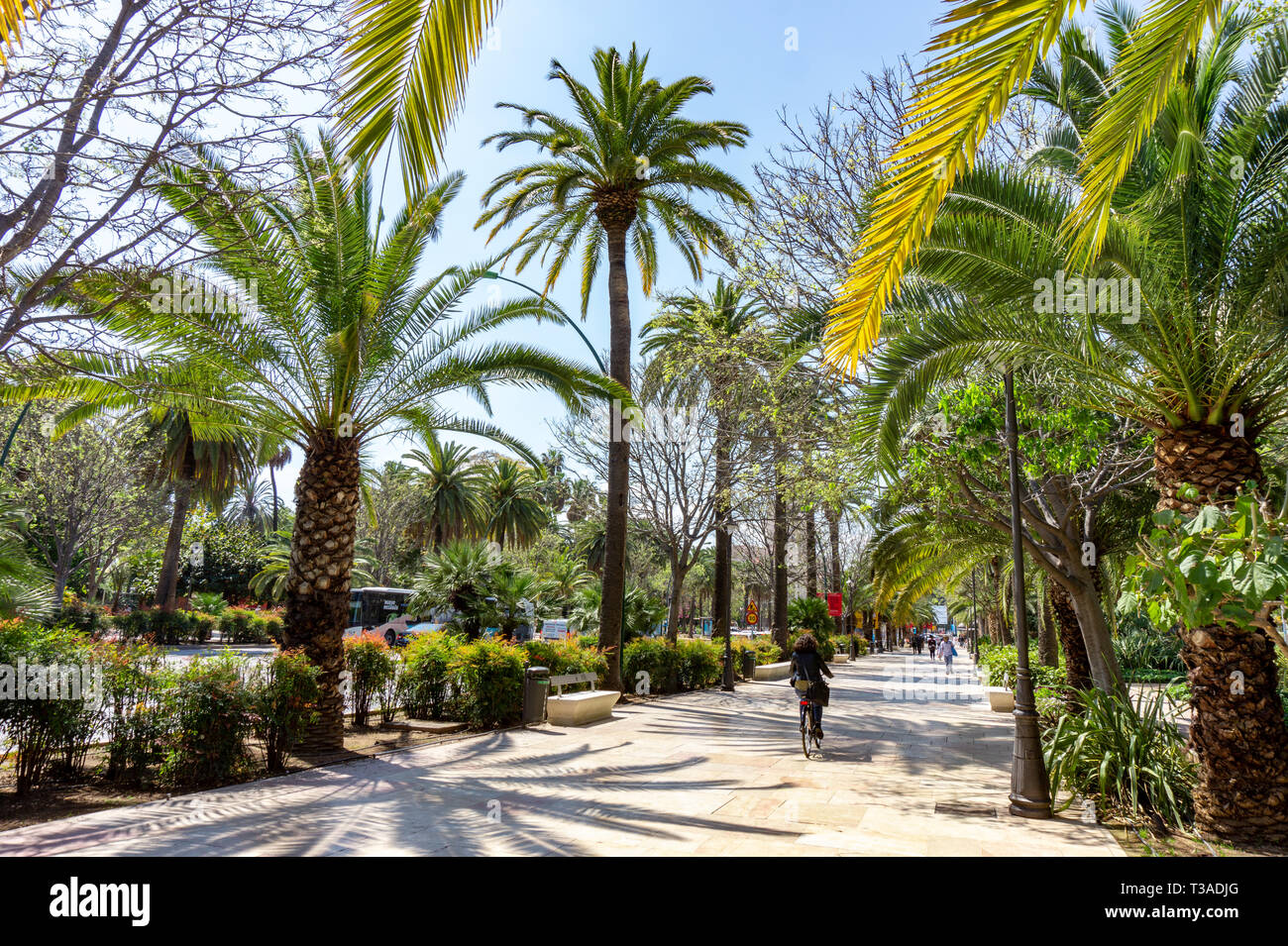 Spain, Malaga - 04.04.2019: Sidewalk on the Paseo del Parque in Malaga ... Spain, Malaga - 04.04.2019: Sidewalk on the Paseo del Parque in Malaga ...