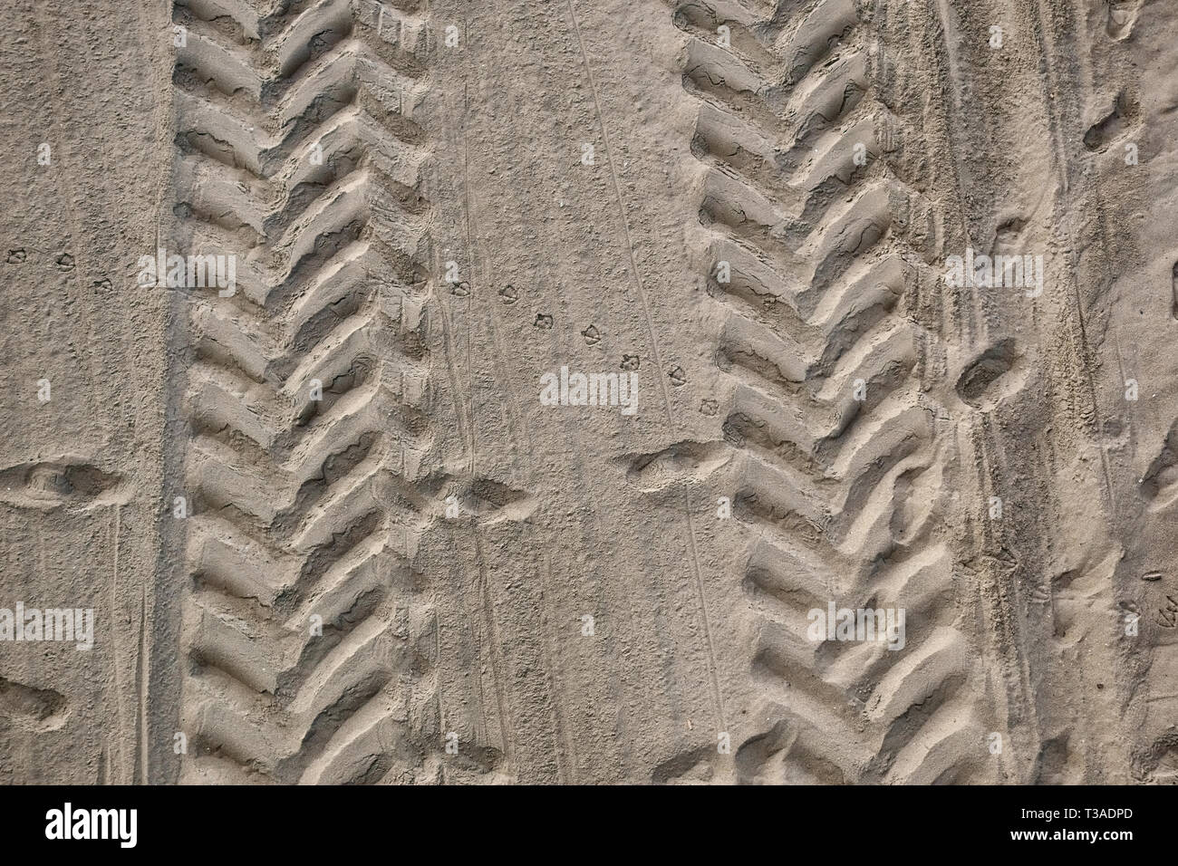 Tracks in the sand Stock Photo - Alamy