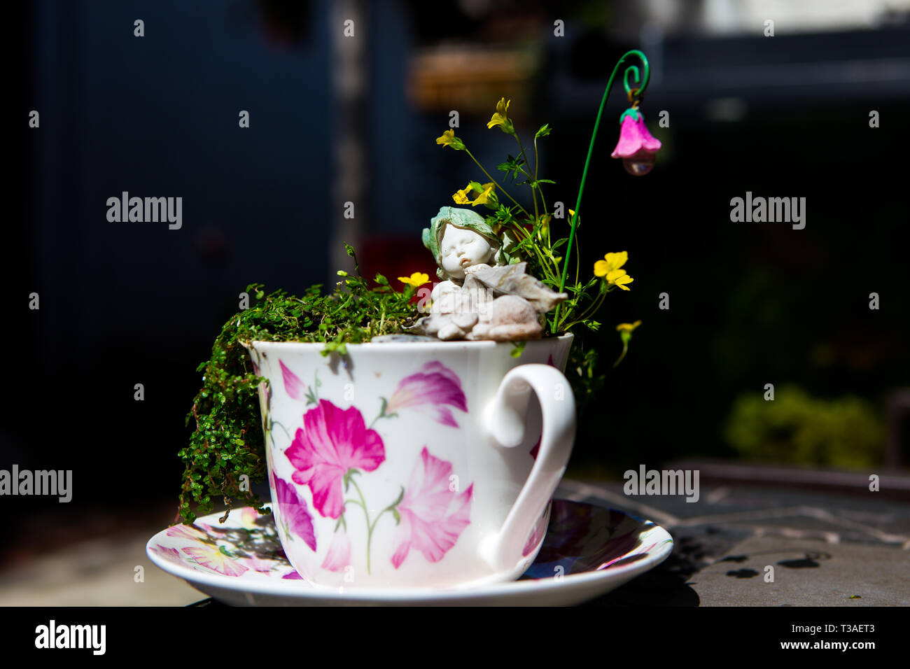 Tea cup ornaments hi-res stock photography and images - Alamy