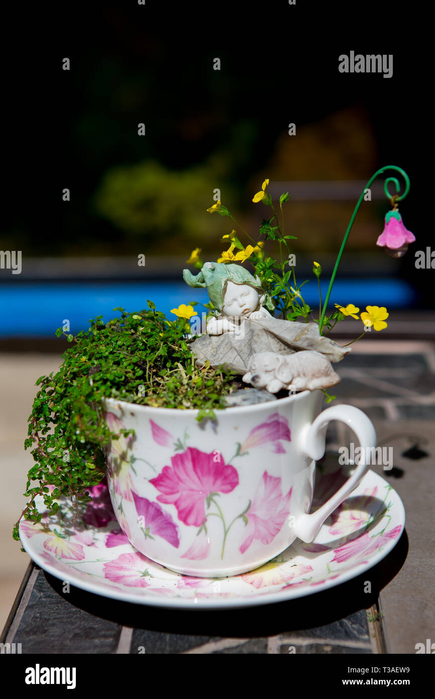 Outdoor tea cup container holding a miniature fairy garden on a garden ...